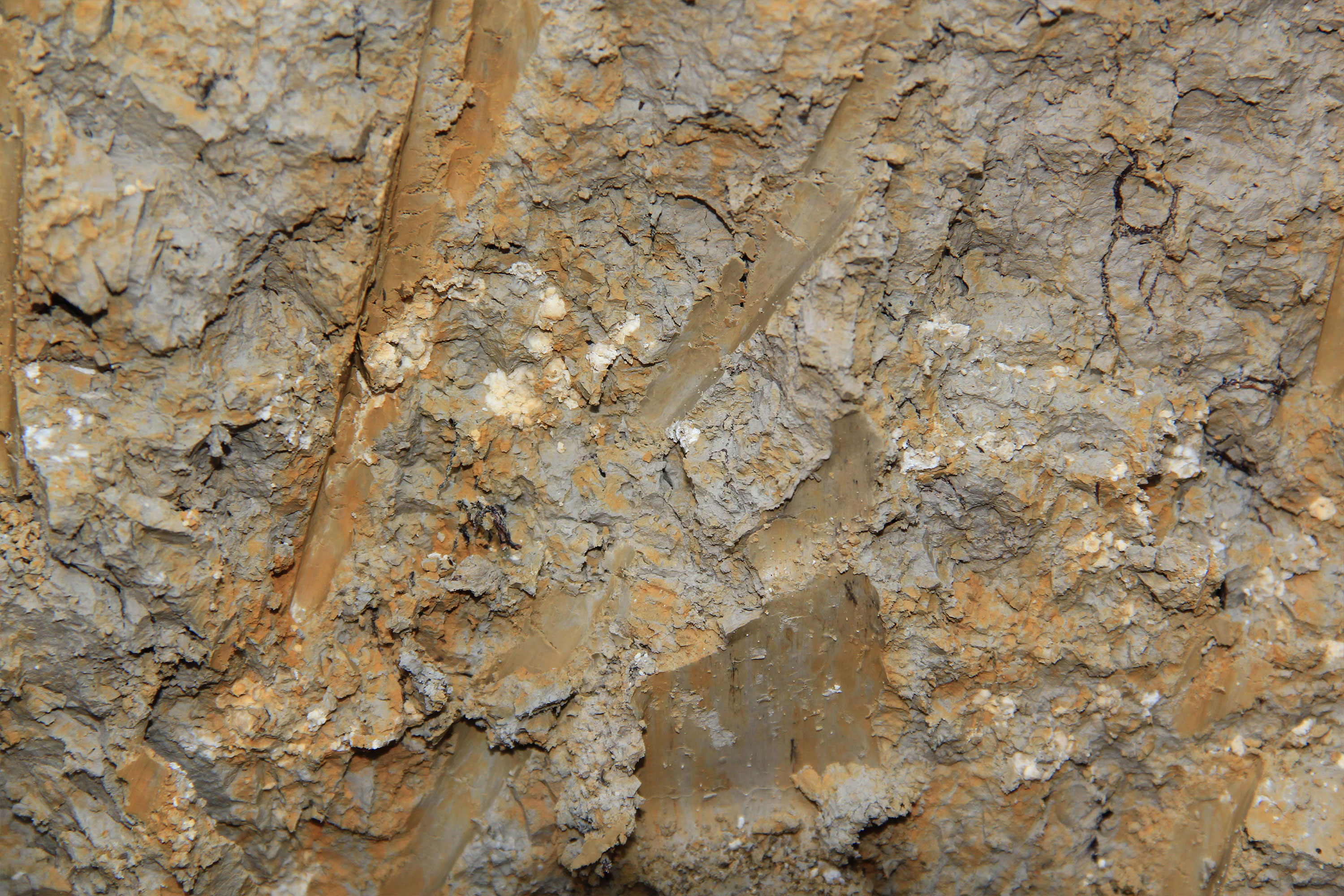 Les marnes bleues du Pliocène - AOC Vacqueyras